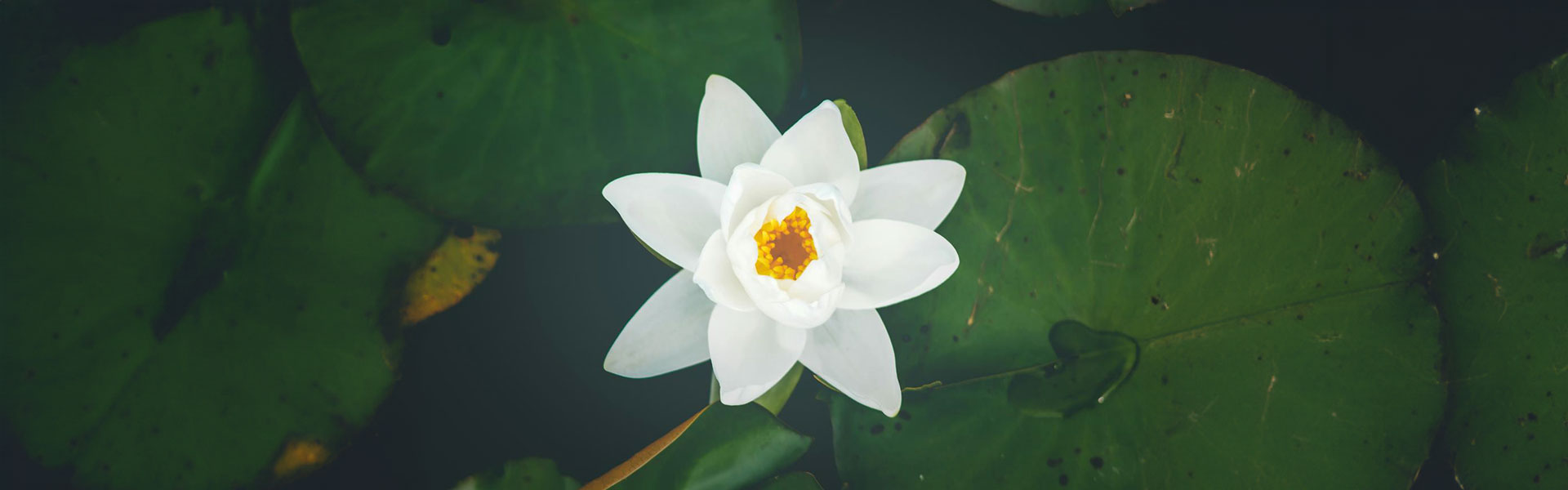 Orange County Depression Treatment | Pacific Breeze Recovery